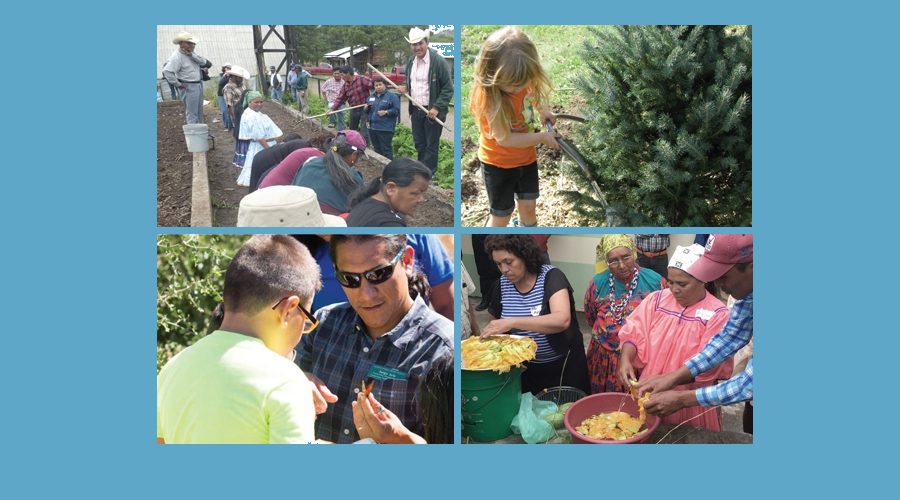 Community Environmental Action Project Grants